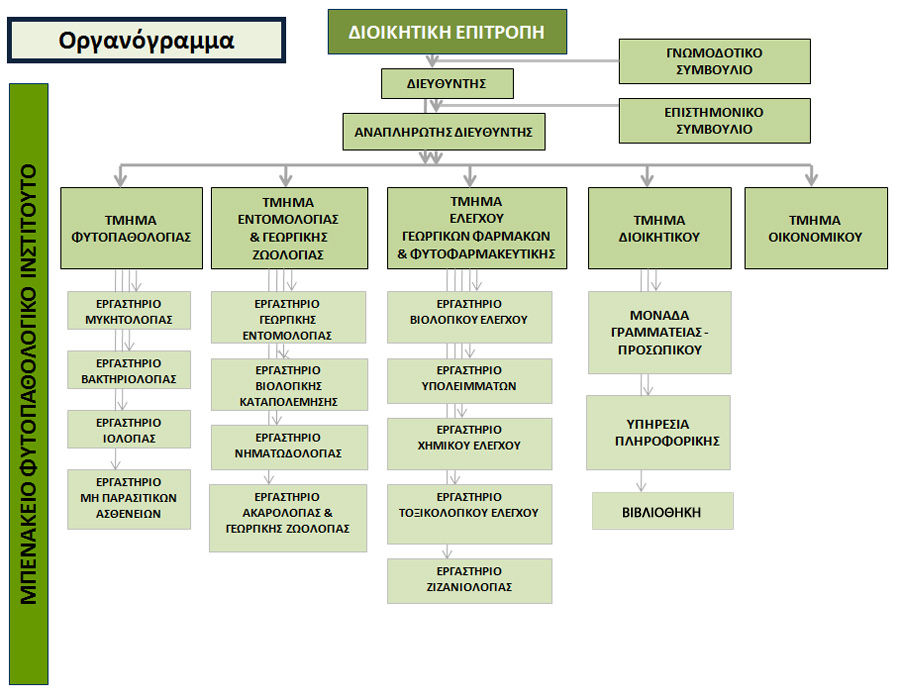 organogramma-n.jpg